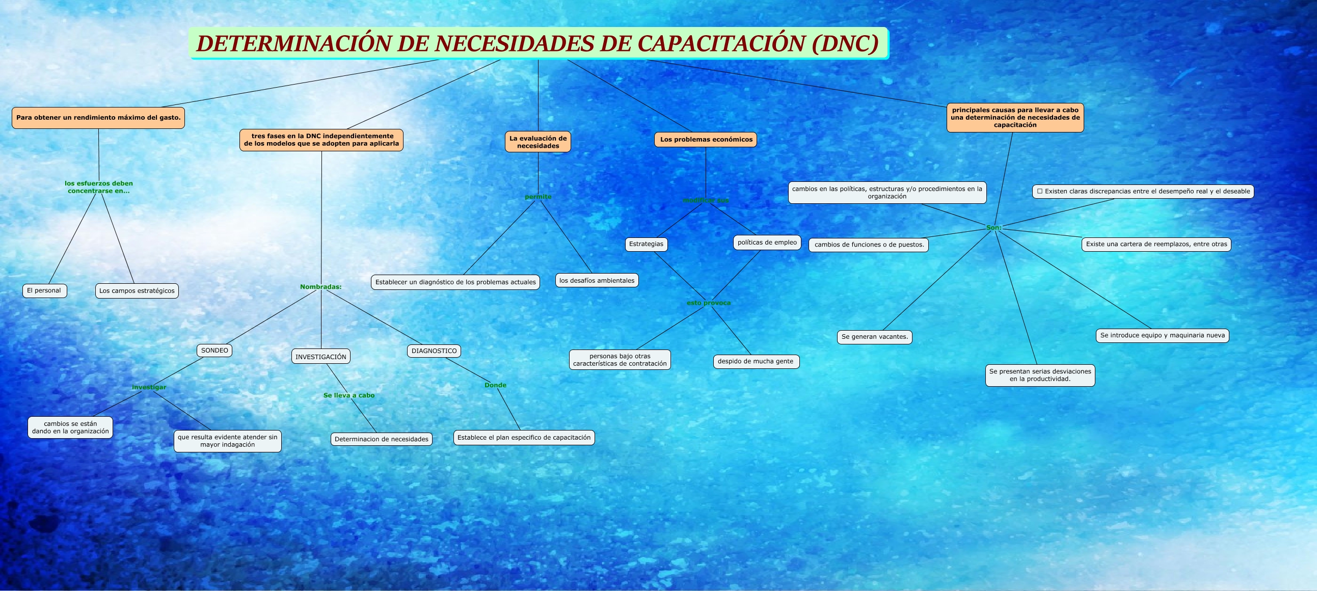 2.1 Determinación de necesidades de capacitación
